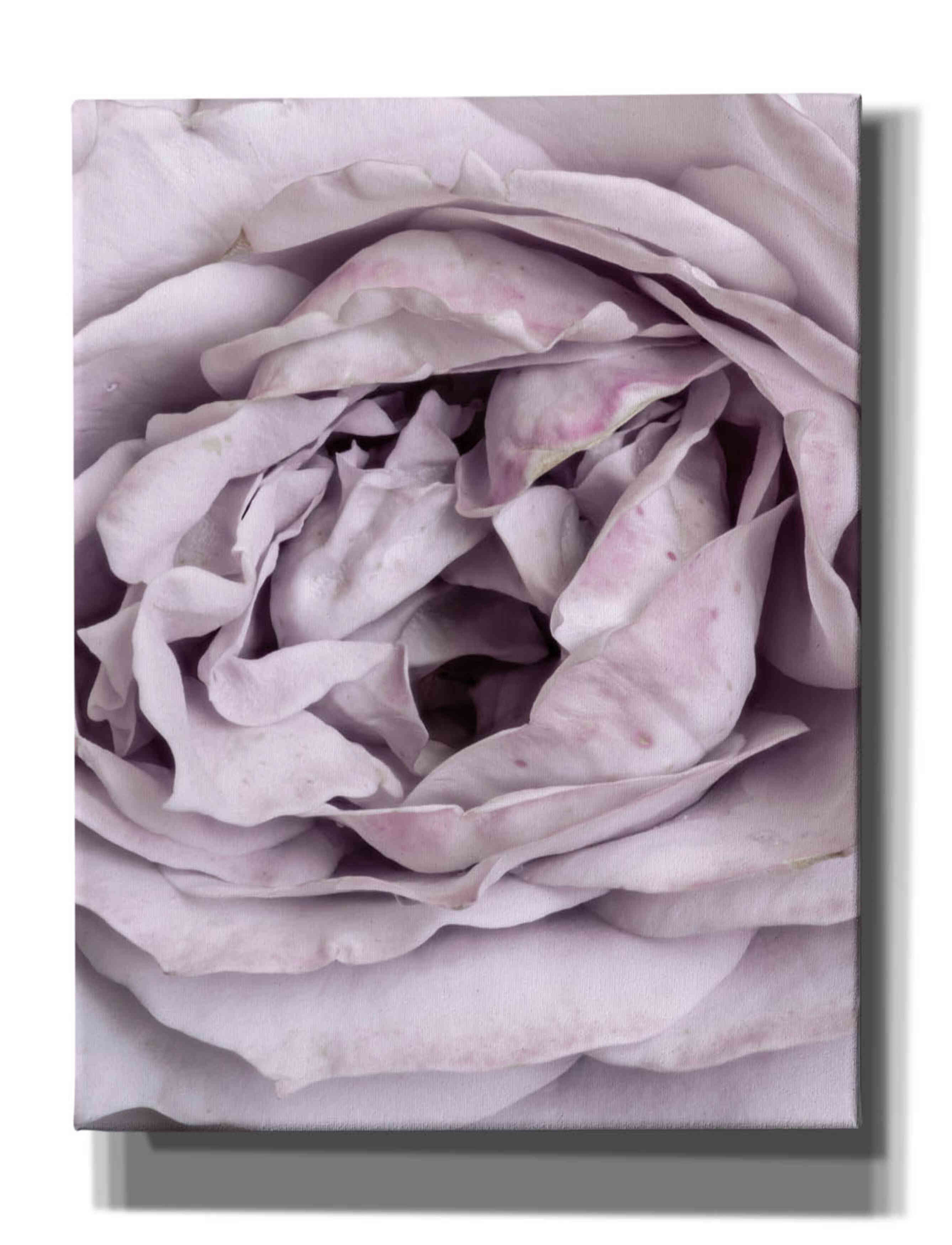 Rosdorf Park Epic Graffiti 'Rose Heart' By Design Fabrikken, Gi Rose ...