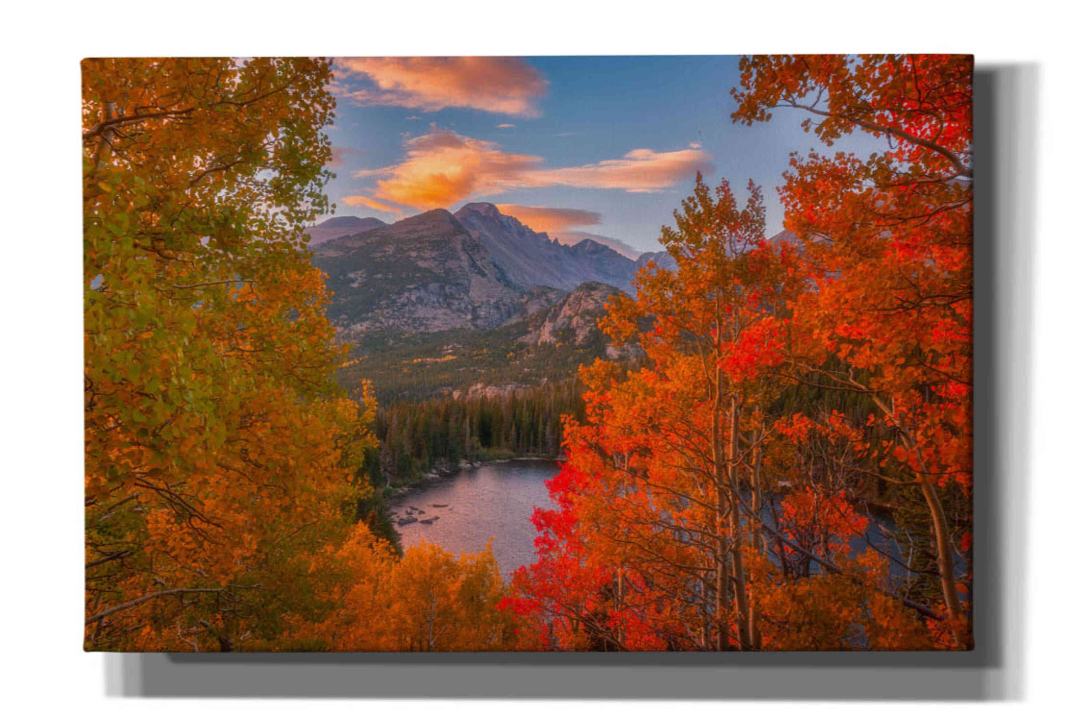 Millwood Pines Epic Graffiti 'Autumn's Breath Rocky Mountain Nat ...