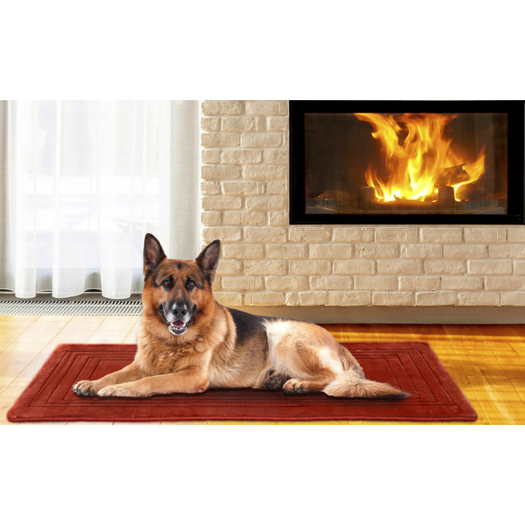 Tucker Murphy Pet™ Bedelia Comfy Pup Dog Mat & Reviews | Wayfair.ca