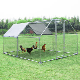 Extra Large Chicken Runs You'll Love in 2021 | Wayfair