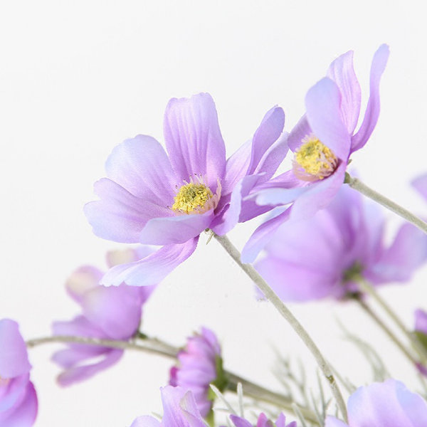 Charlton Home® Silk Cosmos Daisy Stem & Reviews | Wayfair