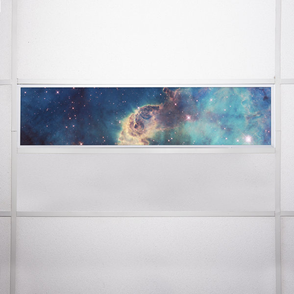 Octo Lights Astronomy Flexible Decorative Light Cover | Wayfair