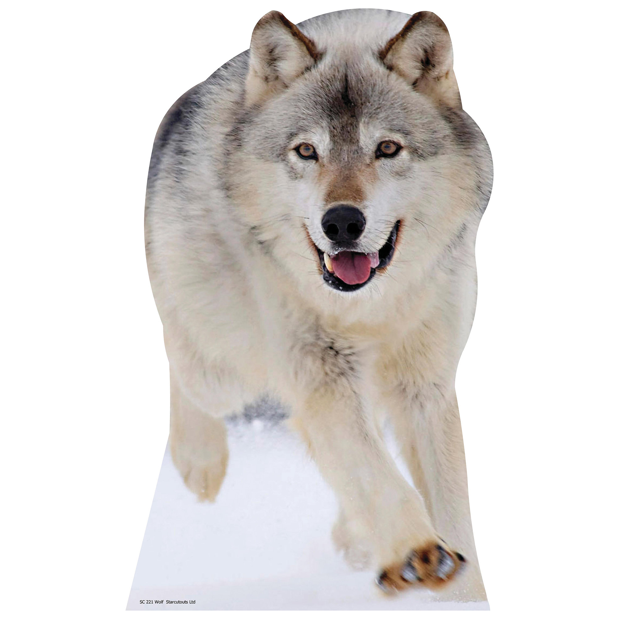 Star Cutouts Wolf Cardboard Standup | Wayfair