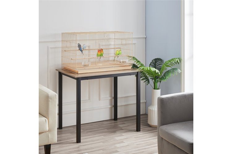 Bird Cage Buying Guide: How to Choose the Best Option | Wayfair
