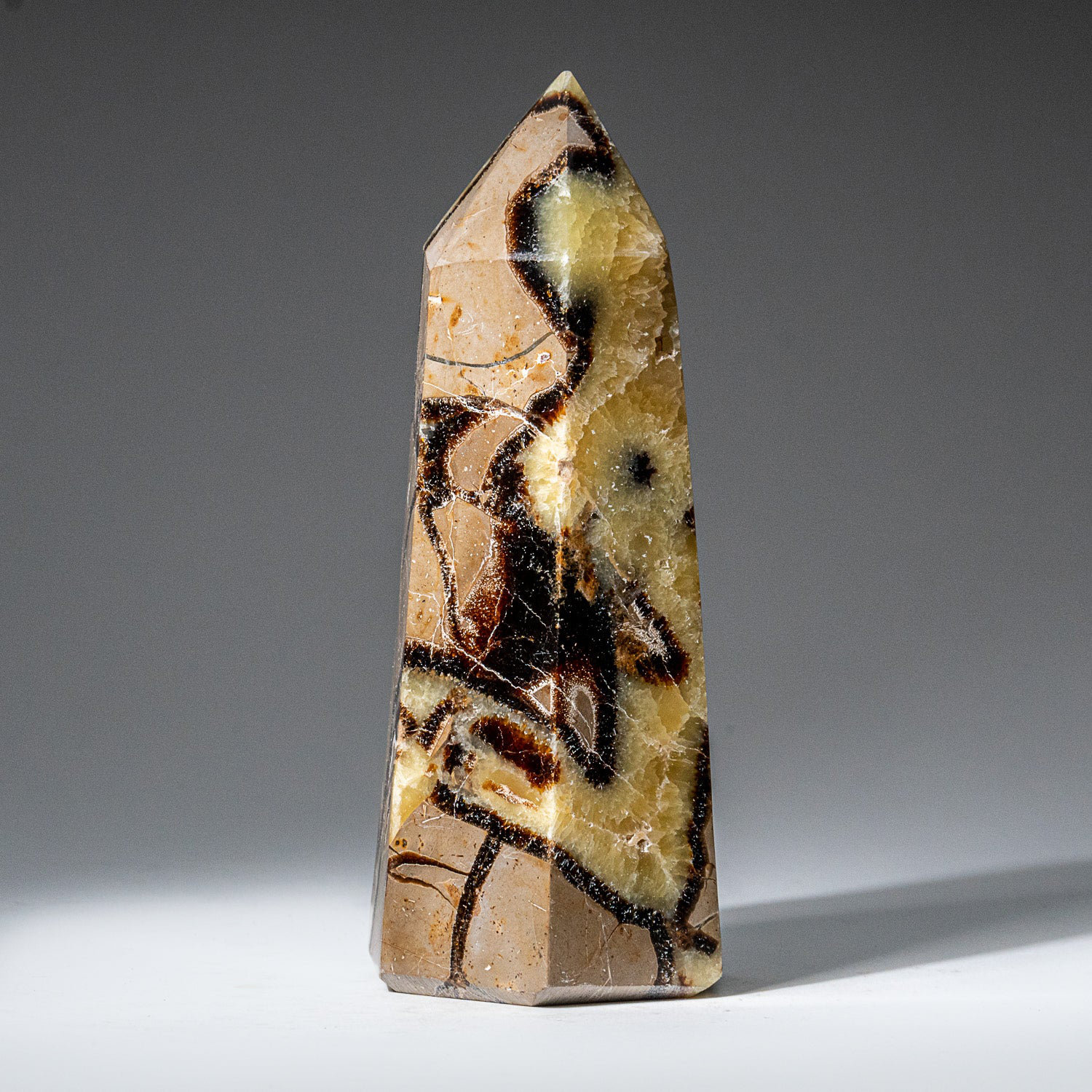 Astro Gallery of Gems Genuine Polished Septarian Point from Madagascar ...