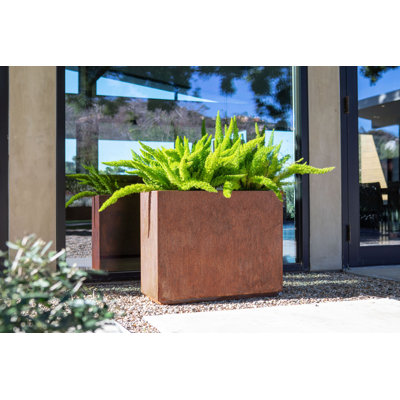 Extra Large Rectangle Planters You'll Love in 2020 | Wayfair