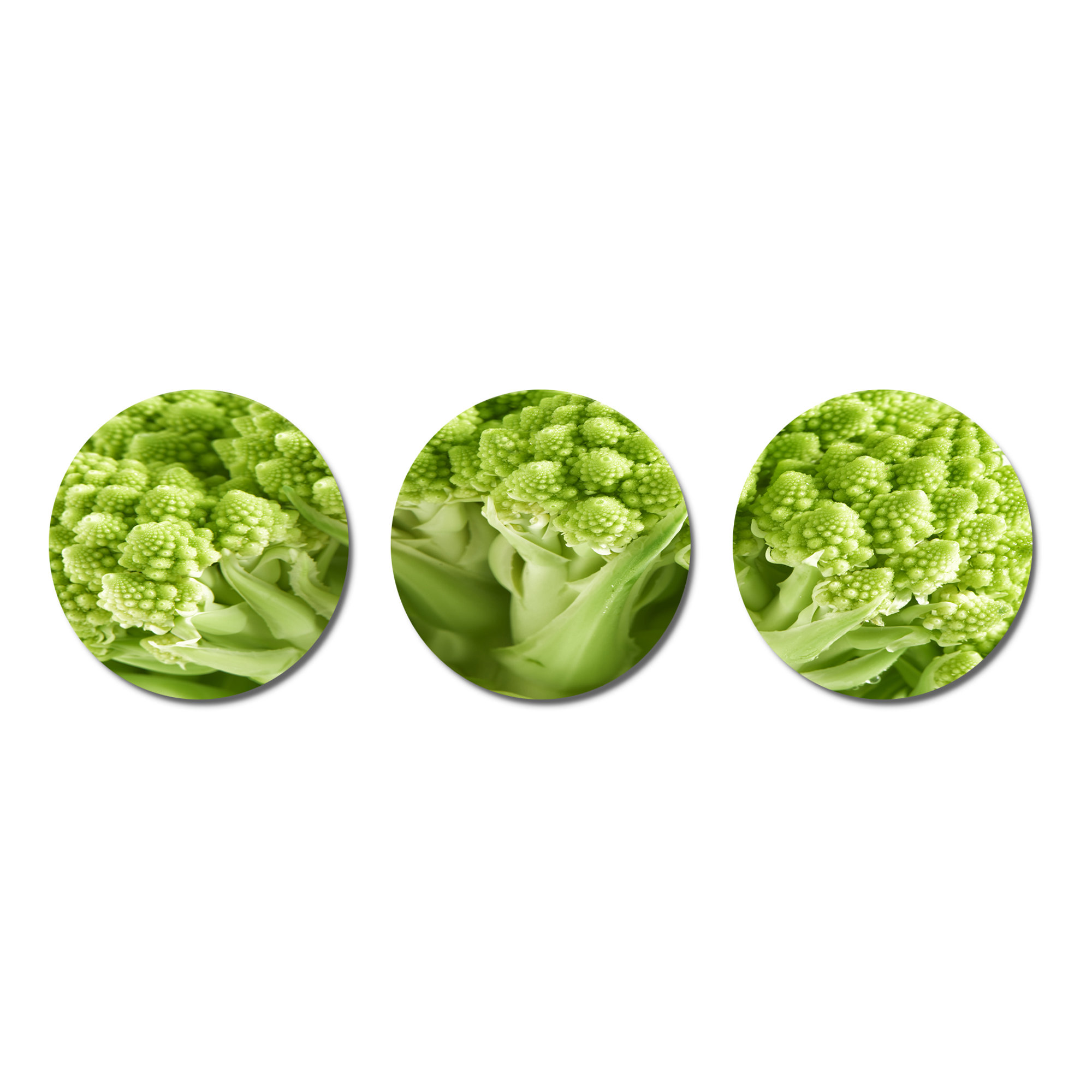 Red Barrel Studio® 3 Piece Fresh Romanesco Florets Wall Décor Set | Wayfair