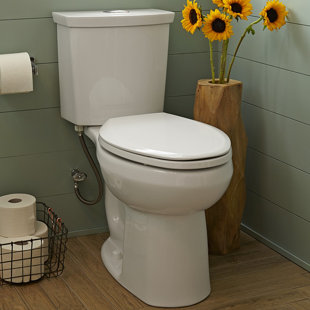 Wayfair | Dual Flush Toilets You'll Love in 2022