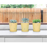 Wayfair | Yellow Planters You'll Love in 2021