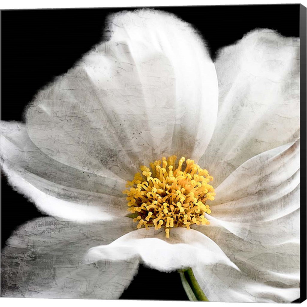 Red Barrel Studio® Yellow Center Wall Décor | Wayfair