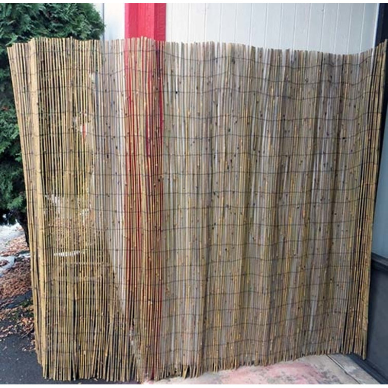 MGP 8 ft. H x 8 ft. W Woven Bamboo Fencing | Wayfair.ca