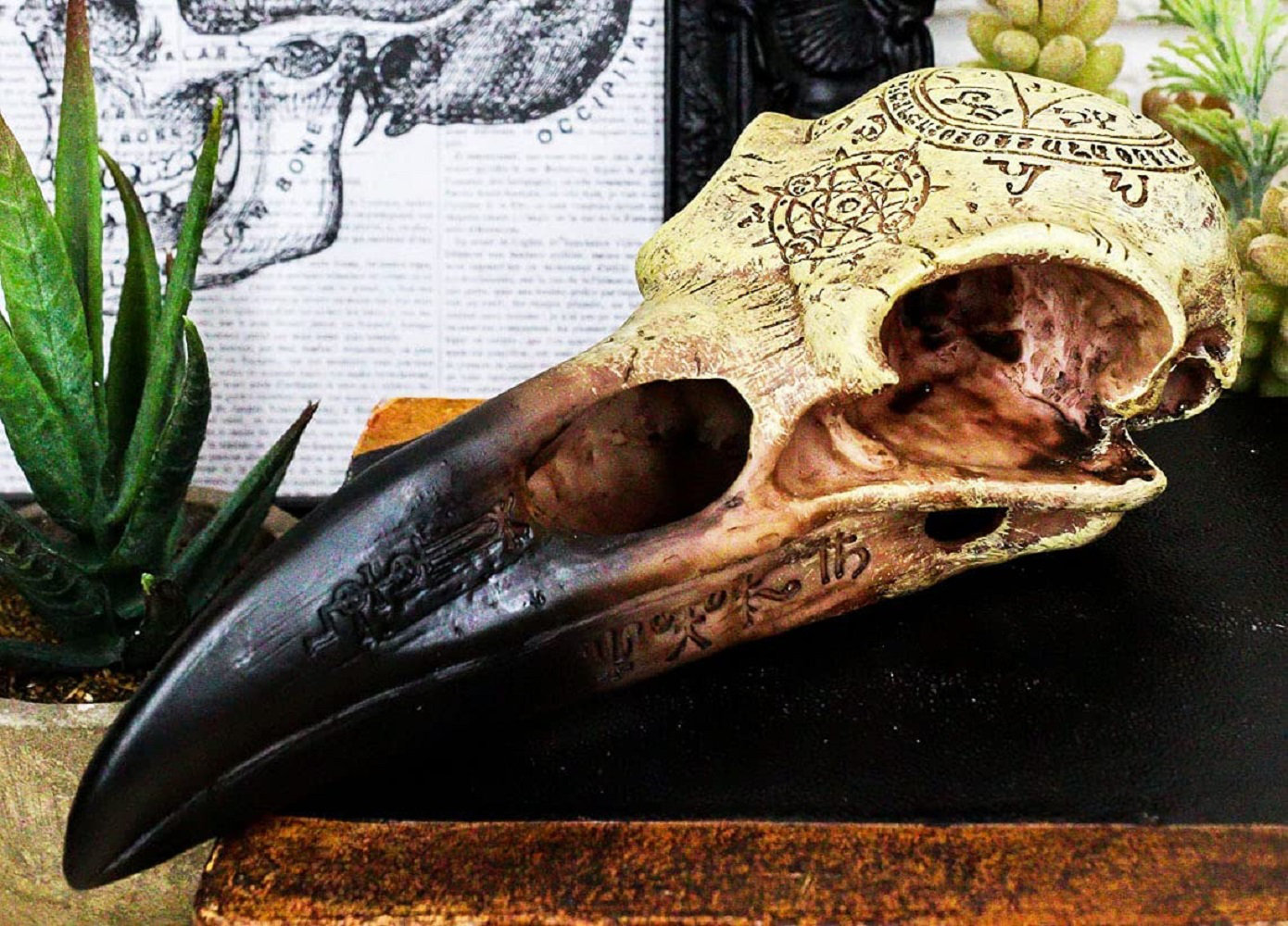 Trinx Omega Alchemy Raven Crow Skull Figurine | Wayfair