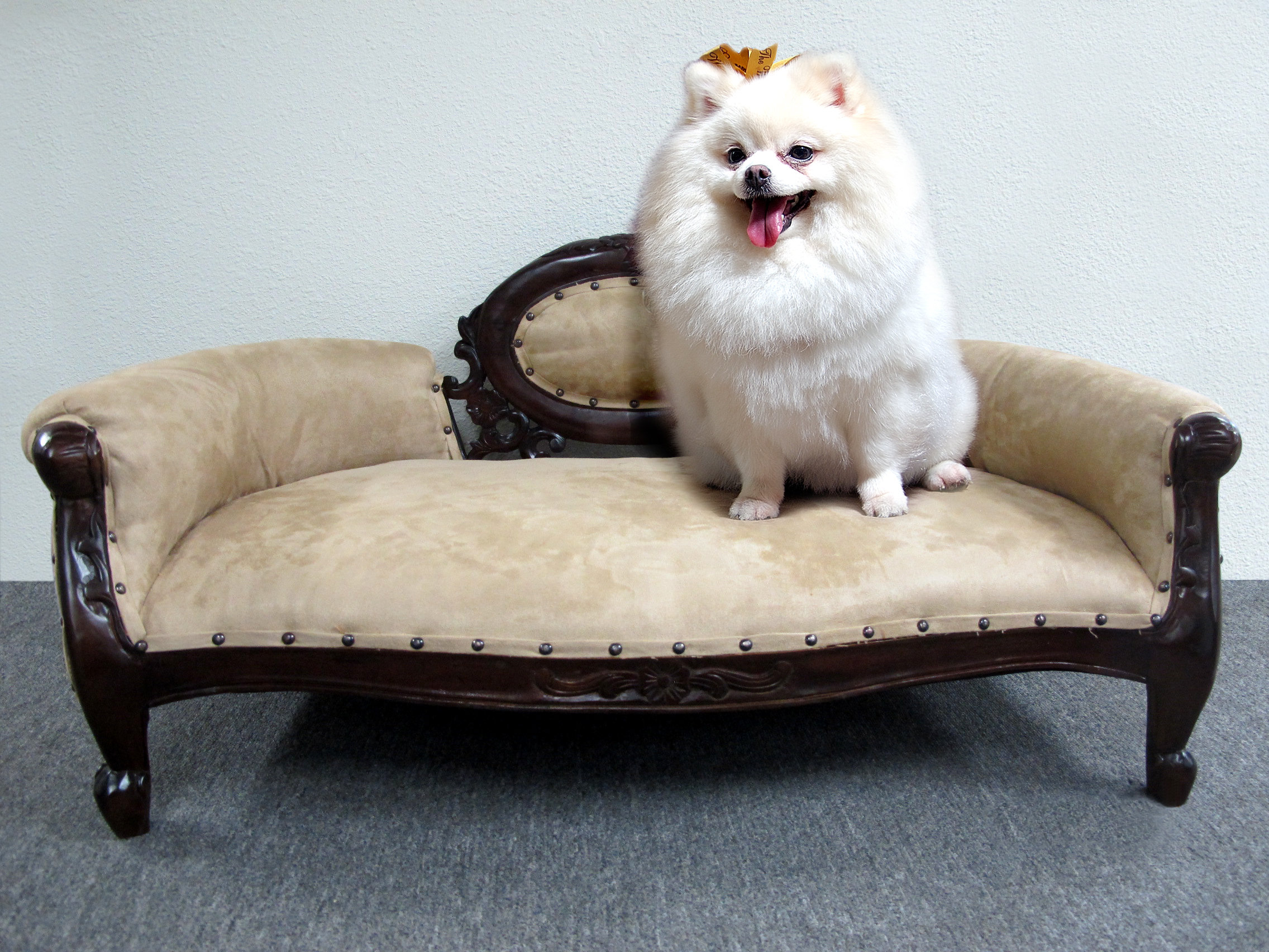 Tucker Murphy Pet™ Hertel Dog Sofa & Reviews | Wayfair