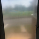 Sand & Stable Privacy Window Decal & Reviews | Wayfair