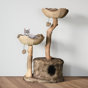 Tucker Murphy™ Pet 46" Seeman Double Branch Cento Cat Tree | Wayfair