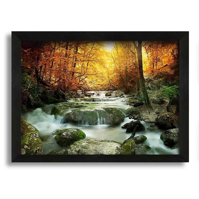 Union Rustic Forest Magic - Picture Frame Photograph on Canvas ...