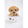 Hi-Line Gift Ltd. Teacup Labrador Puppy Statue & Reviews | Wayfair