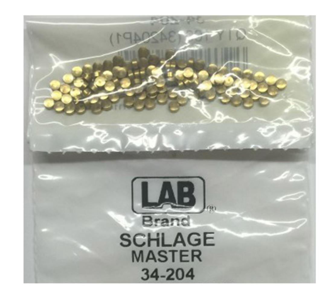Schlage Plated Master Pin & Reviews | Wayfair