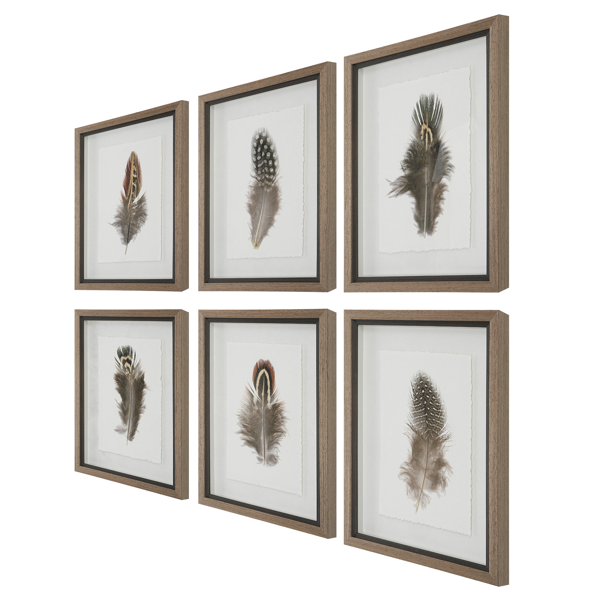 Bungalow Rose Birds Of A Feather - 6 Piece Picture Frame Photograph Set ...