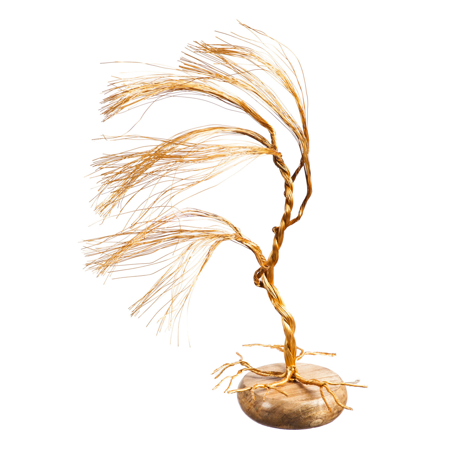 August Grove® Golden Tree Table Deco With Mango Base | Wayfair
