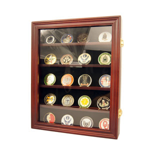 Trophy Case | Wayfair