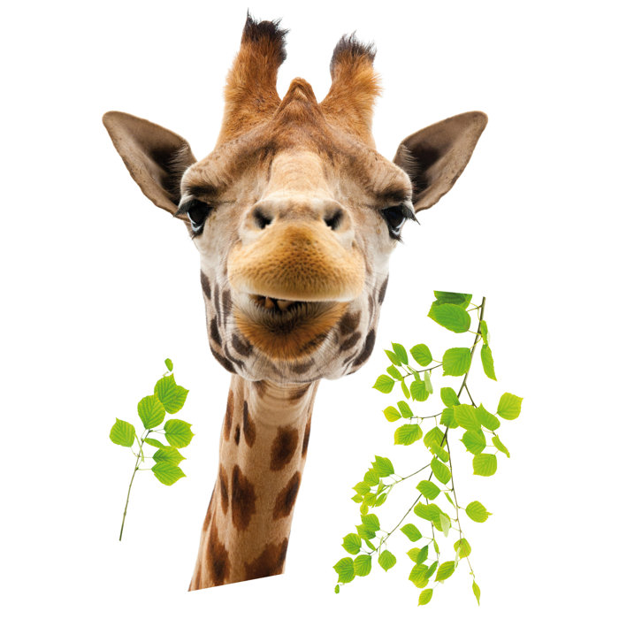 World Menagerie Giraffe Window Decal & Reviews | Wayfair