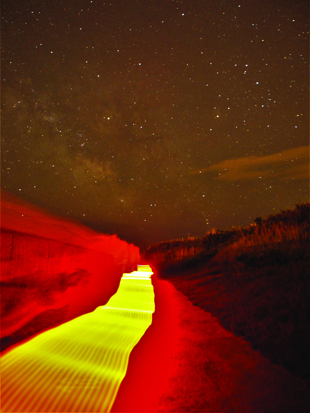 Buy Art For Less Painted Path by Joseph Elliot - Photograph | Wayfair