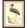 GlobalDesigns Water Birds II - Picture Frame Graphic Art & Reviews ...