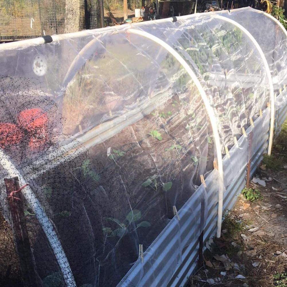 Cerbior Plastic Insect Netting & Reviews | Wayfair