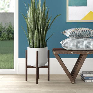 Wayfair | Planter & Flower Pots