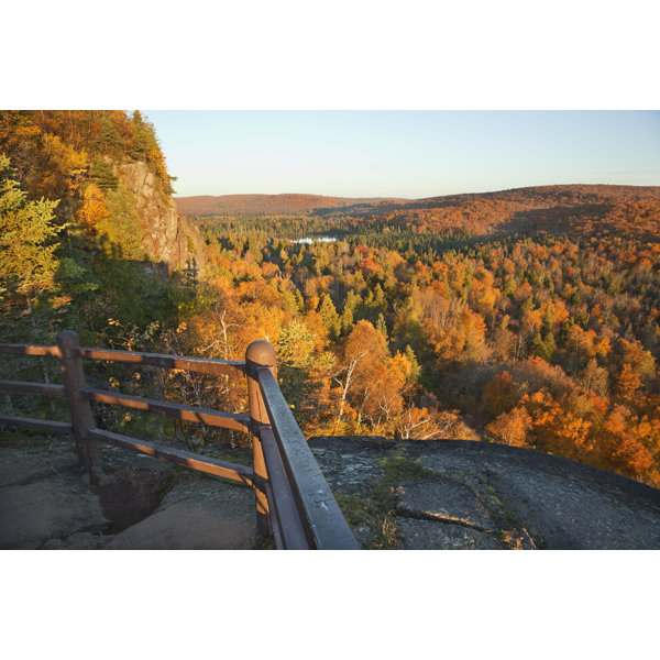 Millwood Pines Trees In Fall Color by Willard - Wrapped Canvas ...