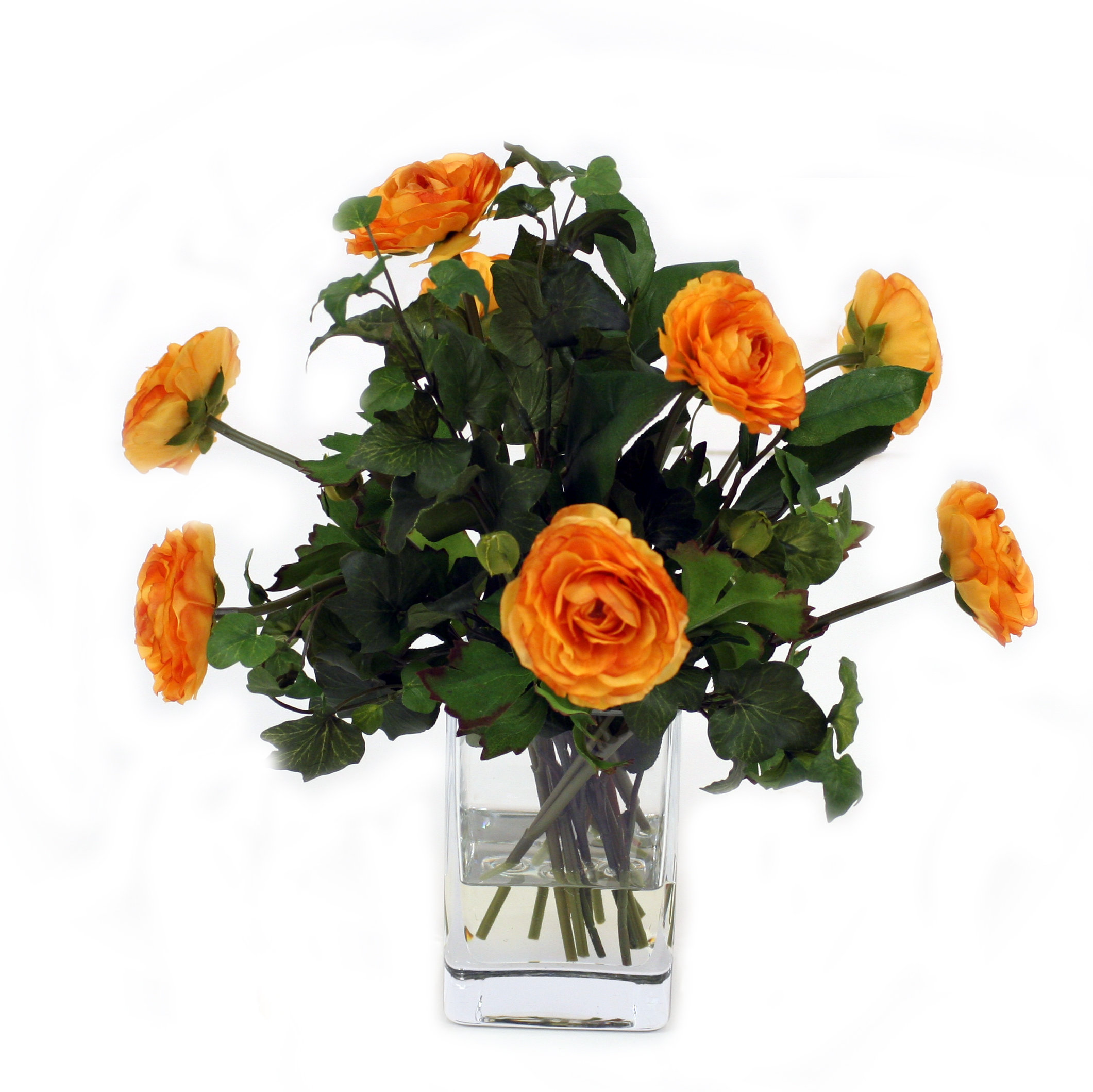 Primrue Gold Ranunculus with Ivy and Basil foliage in Square Glass ...