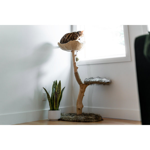 Archie & Oscar™ 43" Lina Cat Tree & Reviews | Wayfair