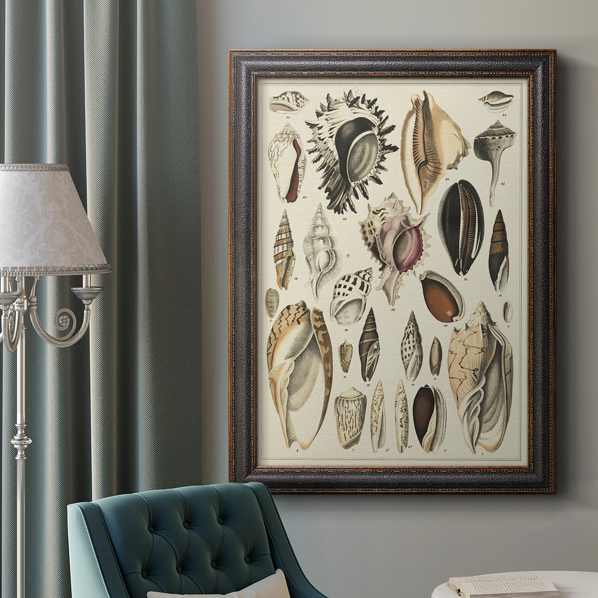 Rosecliff Heights Seashell Display Seashell Display by - on | Wayfair