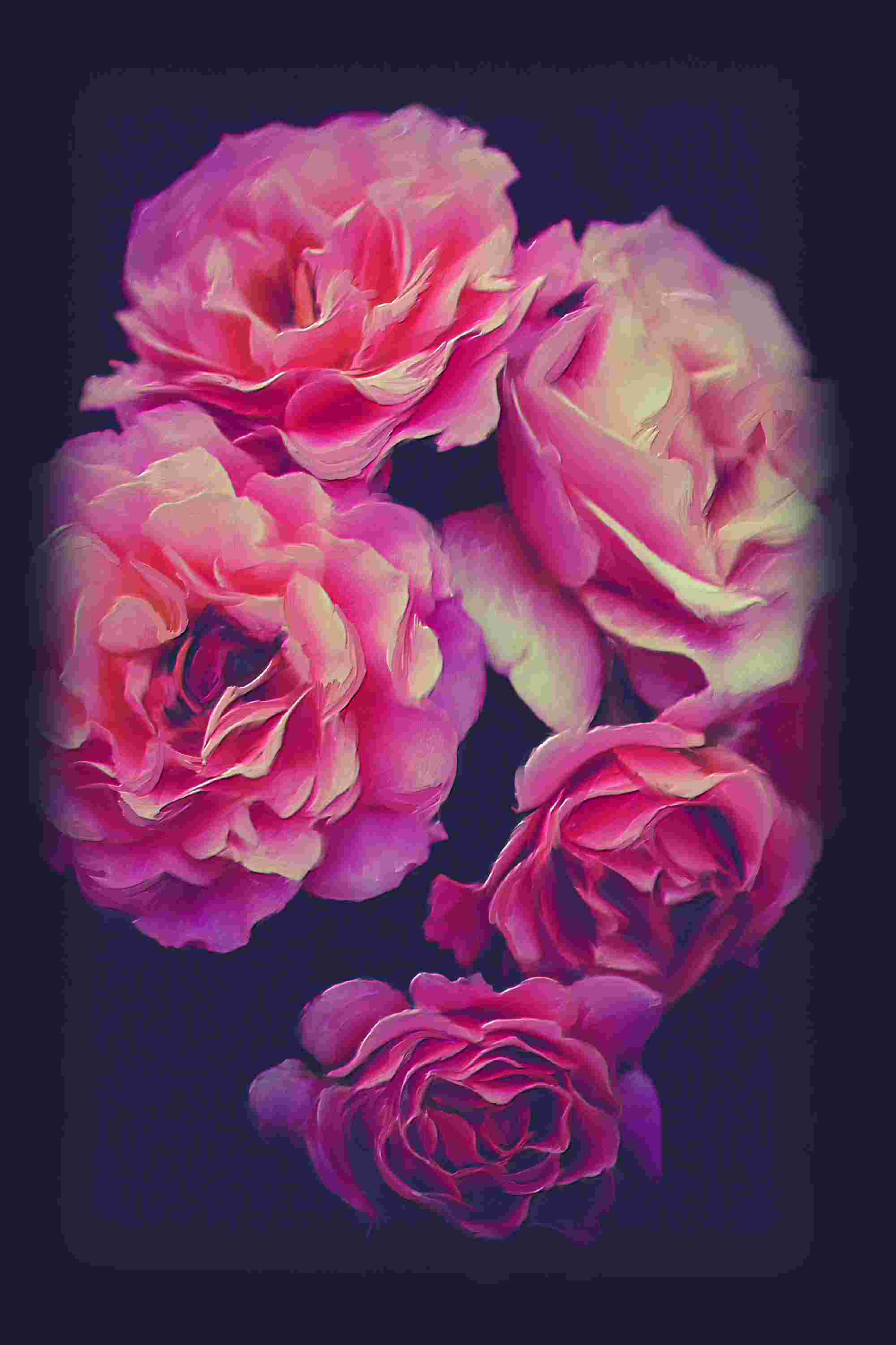 Rosdorf Park Kiss From A Rose by - on | Wayfair