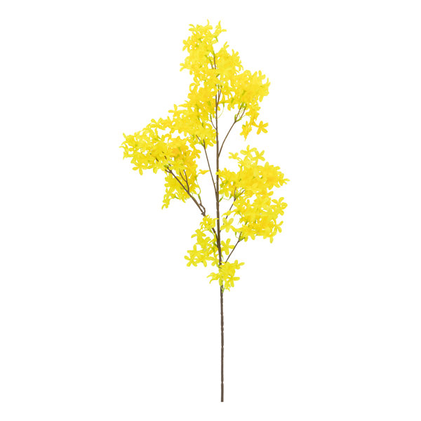 Primrue Stephanotis Stems | Wayfair