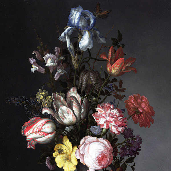 Rosalind Wheeler Clela Wallpaper | Wayfair.co.uk