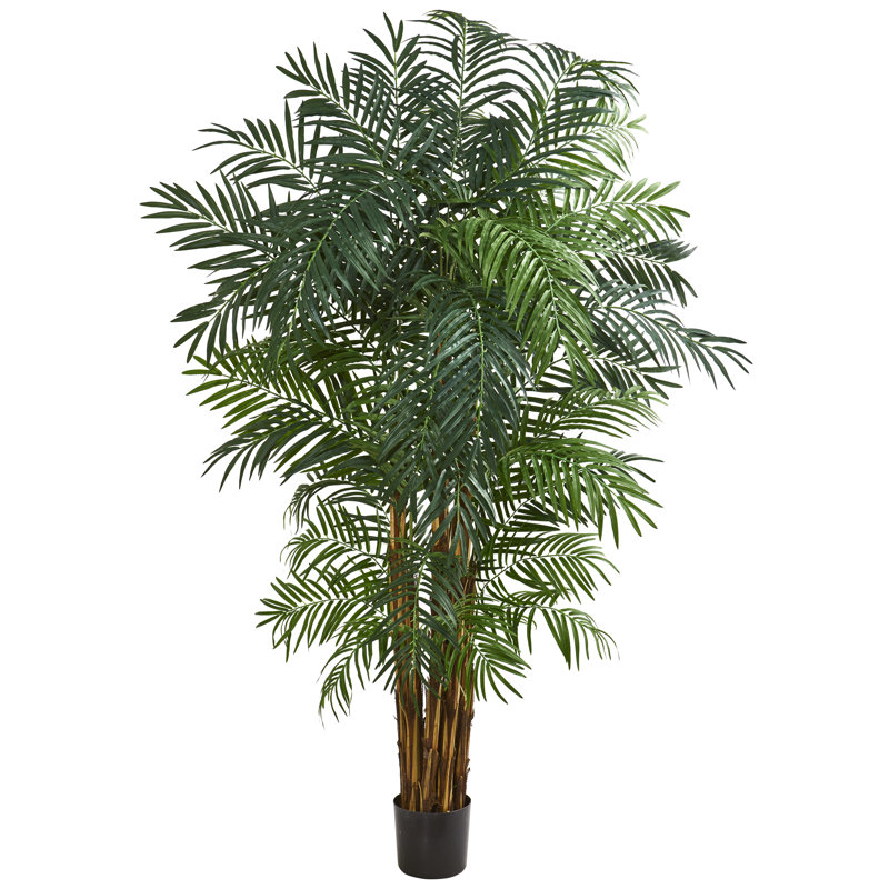 Bayou Breeze Areca Artificial Palm Tree in Pot & Reviews | Wayfair