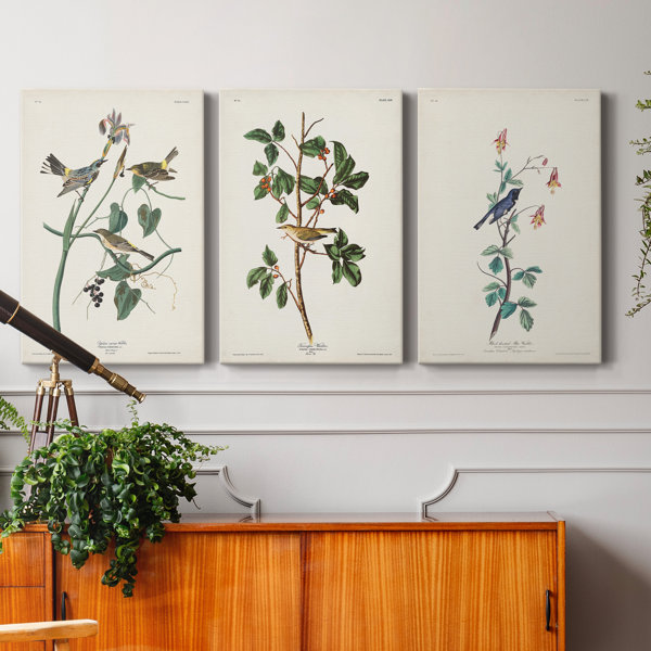 August Grove® Pl. 153 Yellow-Rump Warbler - 3 Piece Wrapped Canvas ...