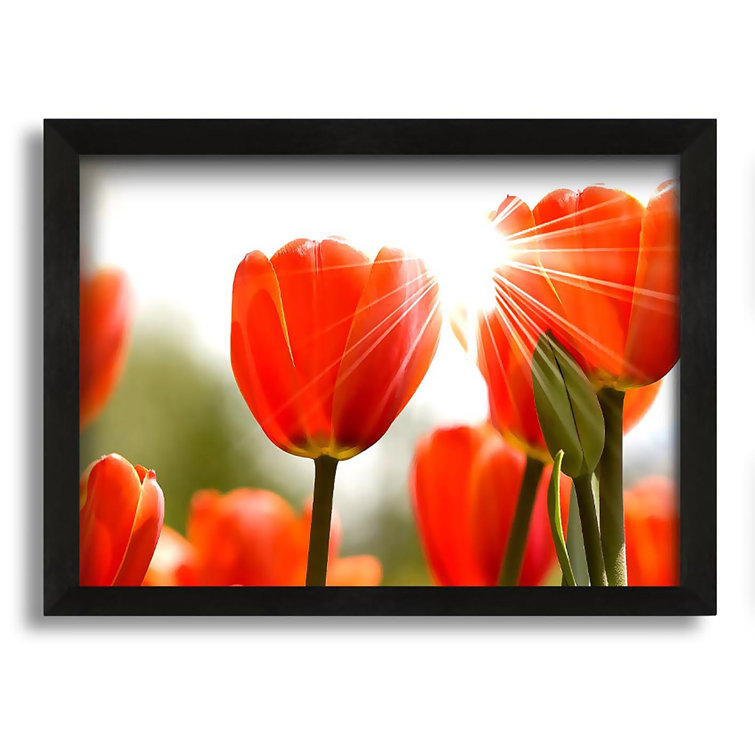 Brayden Studio Orange Tulips - Single Picture Frame Photograph on ...