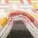 Unique Loom Whimsy Rug & Reviews | Wayfair