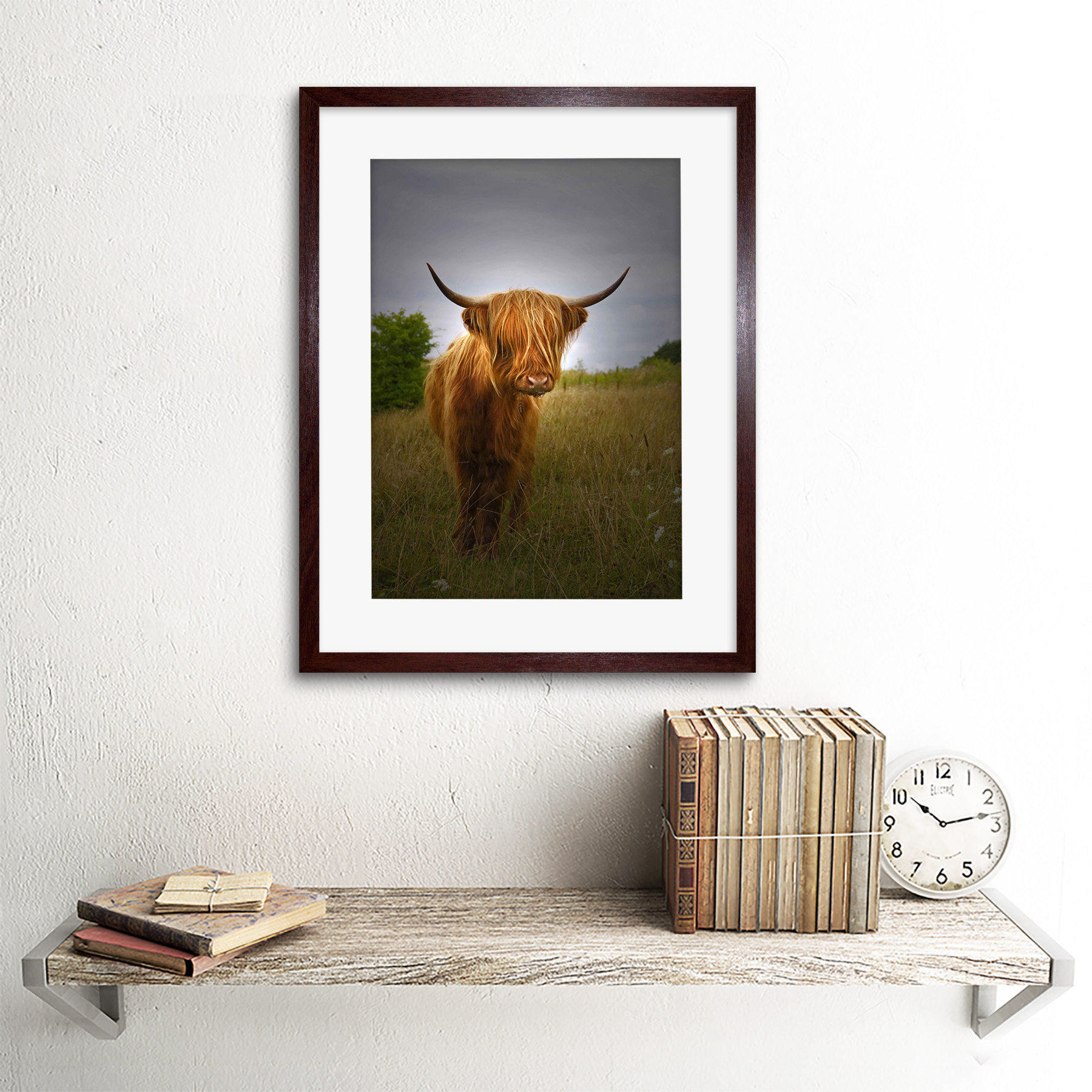 Natur Pur Photo Farm Animal Highland Cow Calf Scotland Picture ...