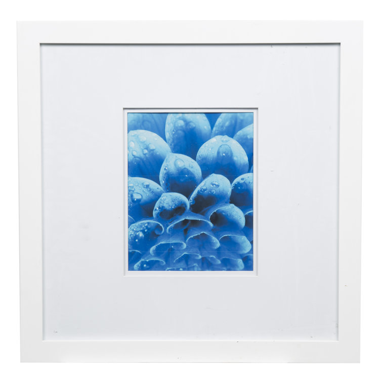 Alcott Hill® Boxelder Double Mat Picture Frame & Reviews | Wayfair