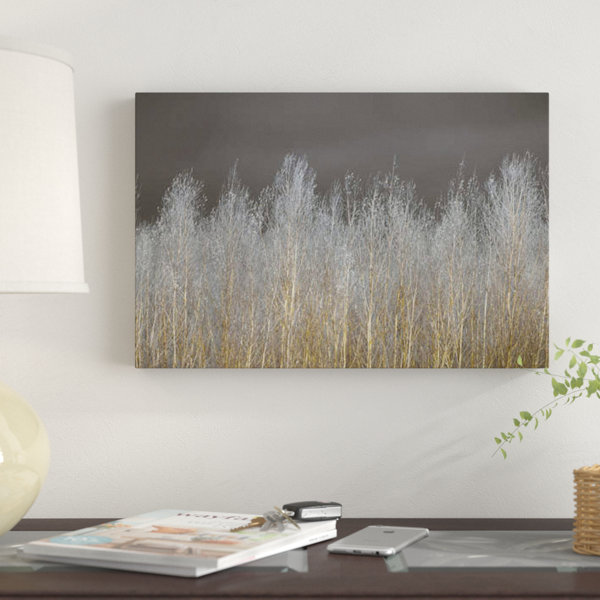 The Twillery Co.® Silver Forest by Assaf Frank - Wrapped Canvas Gallery ...
