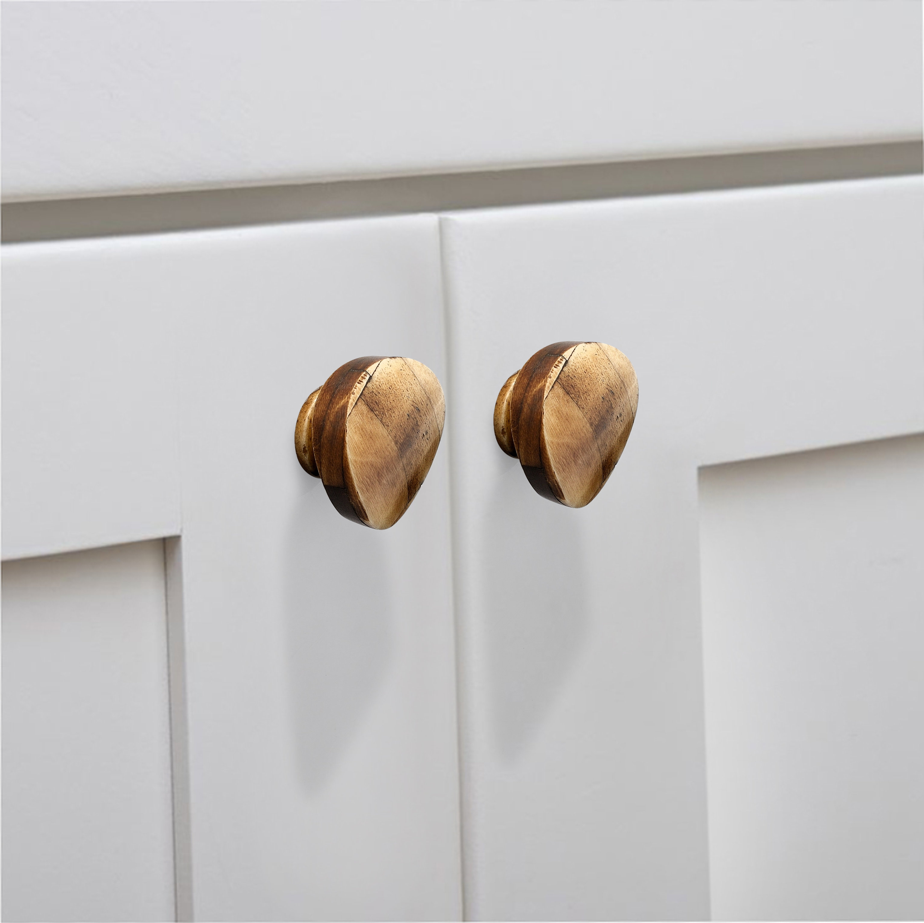 MascotHardware Eclipse 0.875" Length Novelty Knob & Reviews | Wayfair