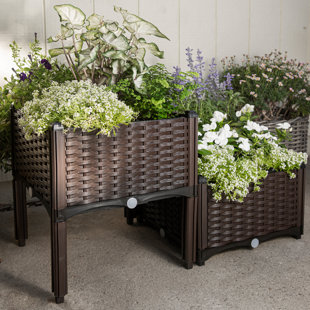 Wayfair | Indoor Planters You'll Love in 2022