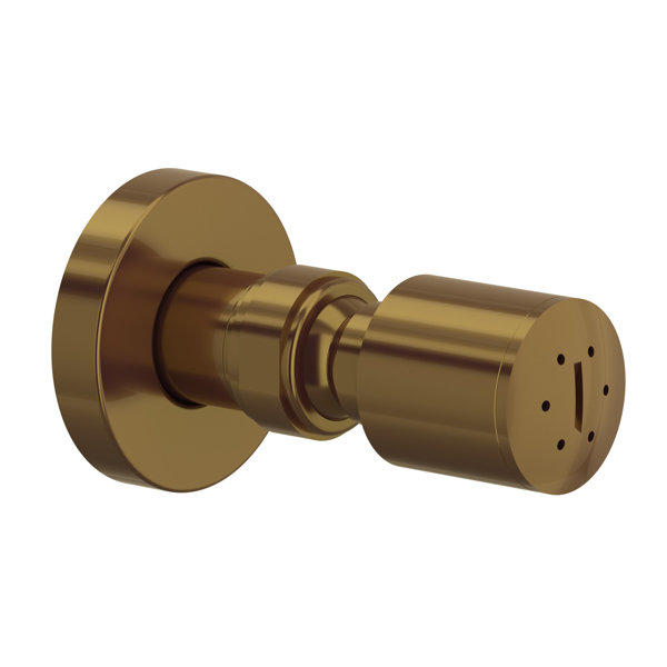 Rohl Single Function Body Spray | Wayfair