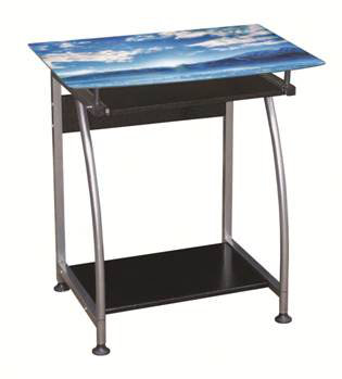 Blue Computer Desks You'll Love in 2020 | Wayfair