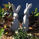 Design Toscano Big Burly Bunny Rabbit 2 Piece Statue Set & Reviews ...
