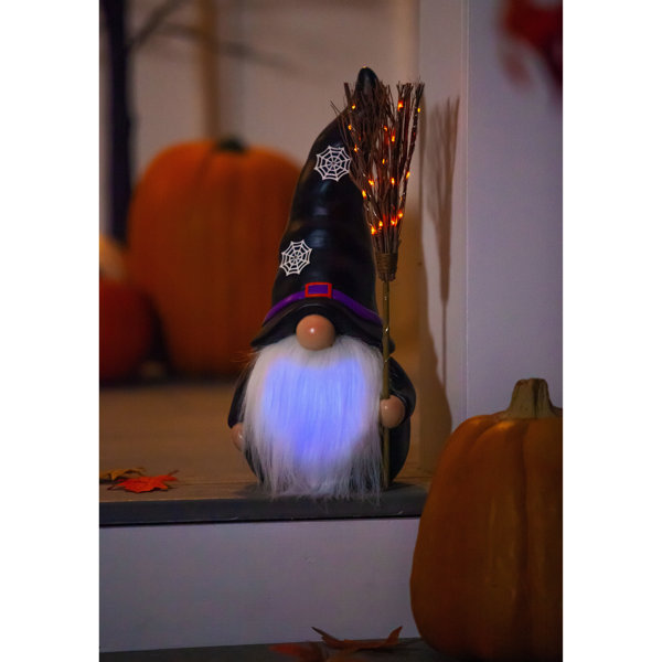 Arlmont & Co. Naheed Gnome | Wayfair